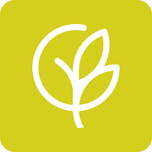 About Us - Gorsey Bank Primary School